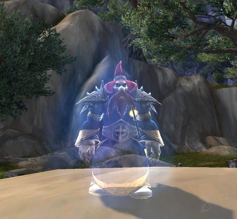 神秘的新生帽—物品—魔兽世界