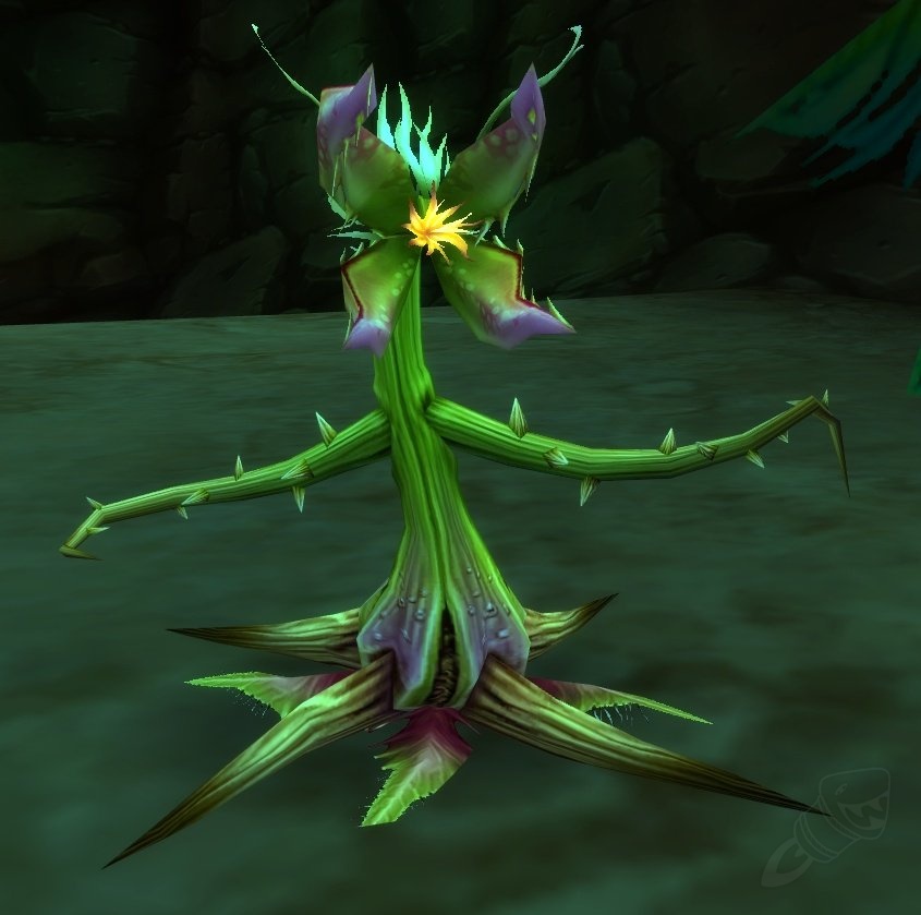 Azotador descarriado - PNJ - World of Warcraft