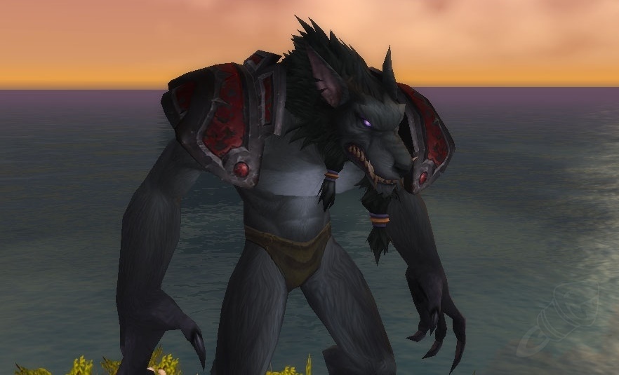 Coldrock Pauldrons - Item - World of Warcraft