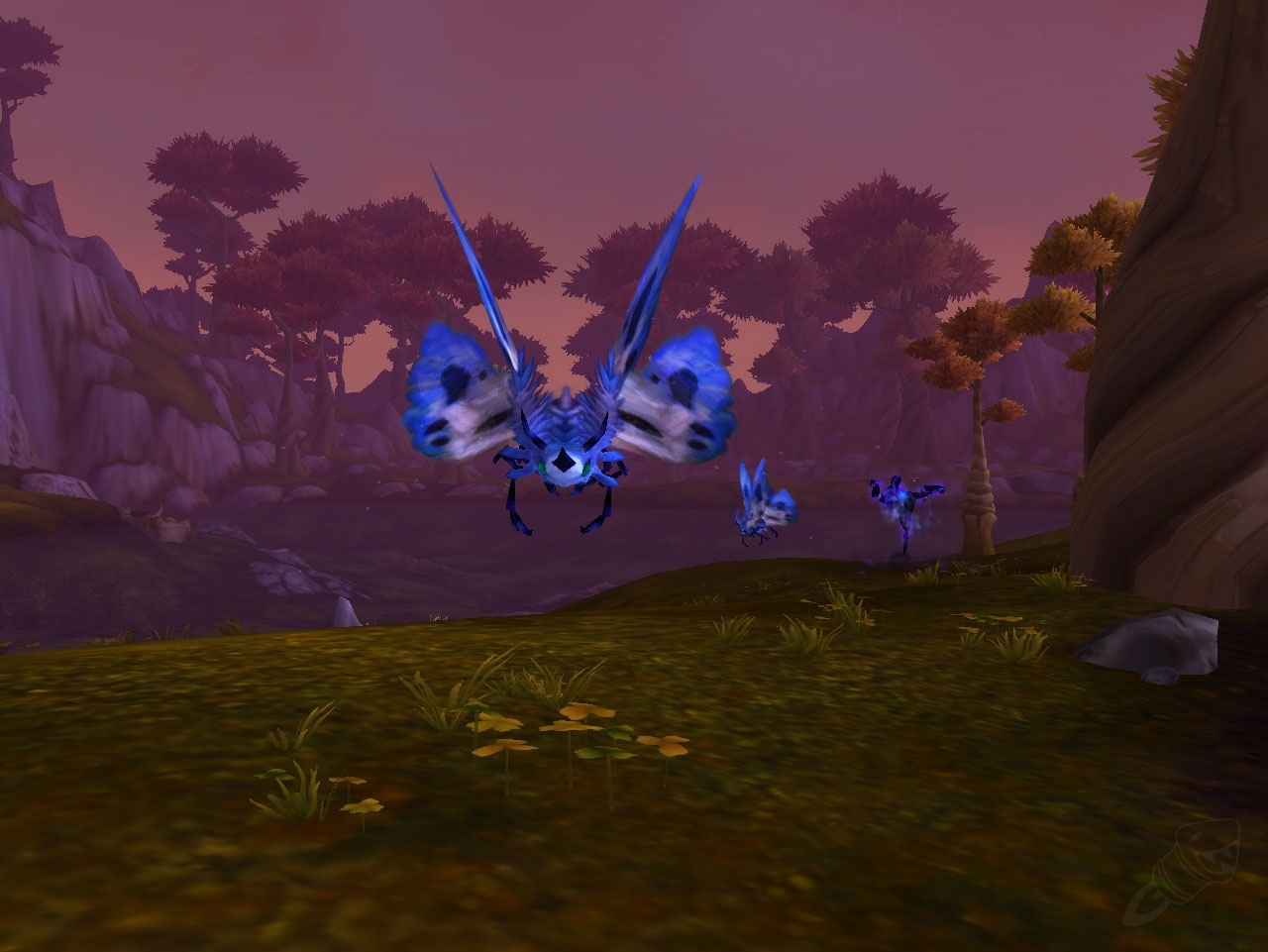 Agitated Duskwing - NPC - World of Warcraft