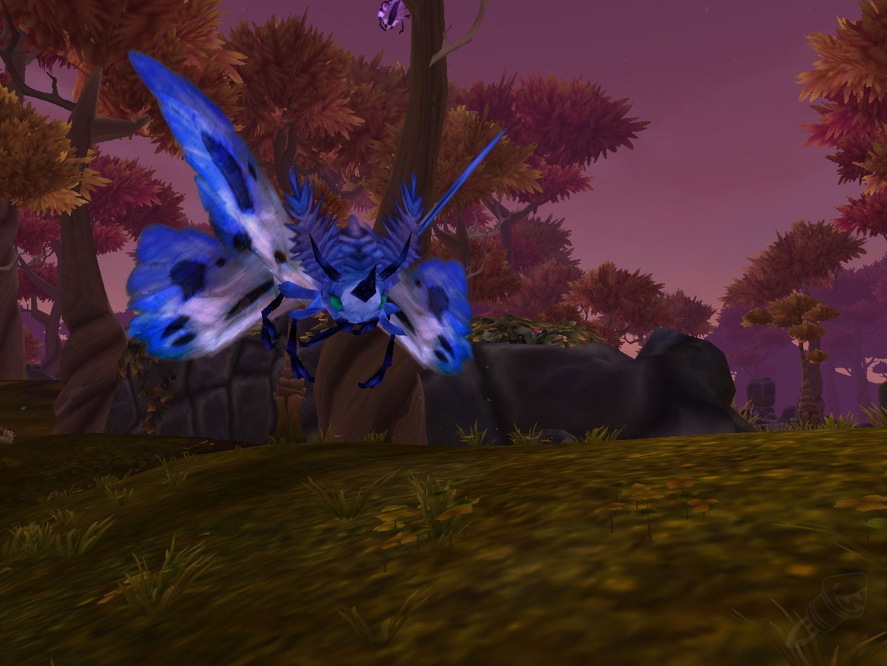 Elder Duskwing - NPC - World of Warcraft