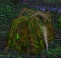 Timberling Sprout - Item - World of Warcraft