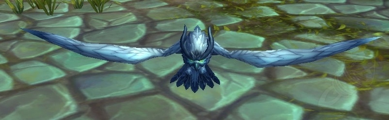 Pygmy Owl - Spell - World of Warcraft