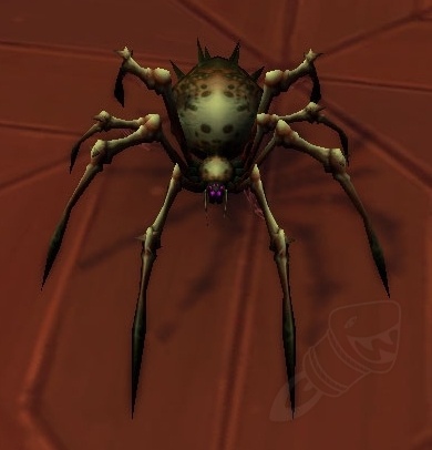 Nursery Spider - Spell - 11.0.7 PTR
