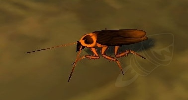 Insecte horripilant - PNJ - World of Warcraft