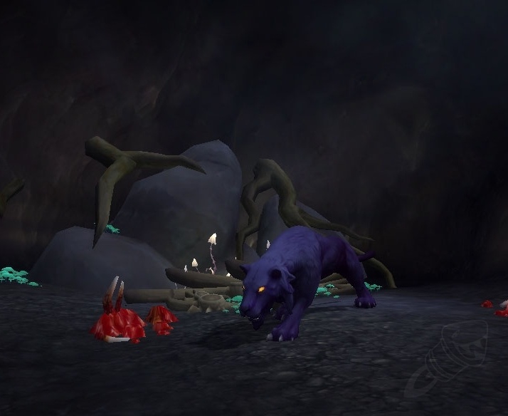 Rashar - NPC - World of Warcraft