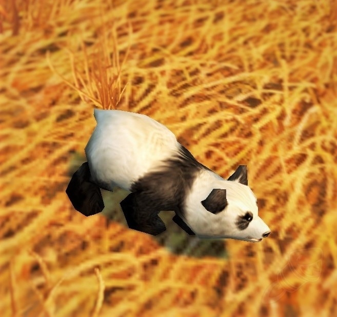 Edição de colecionador: Panda - Conquista - World of Warcraft
