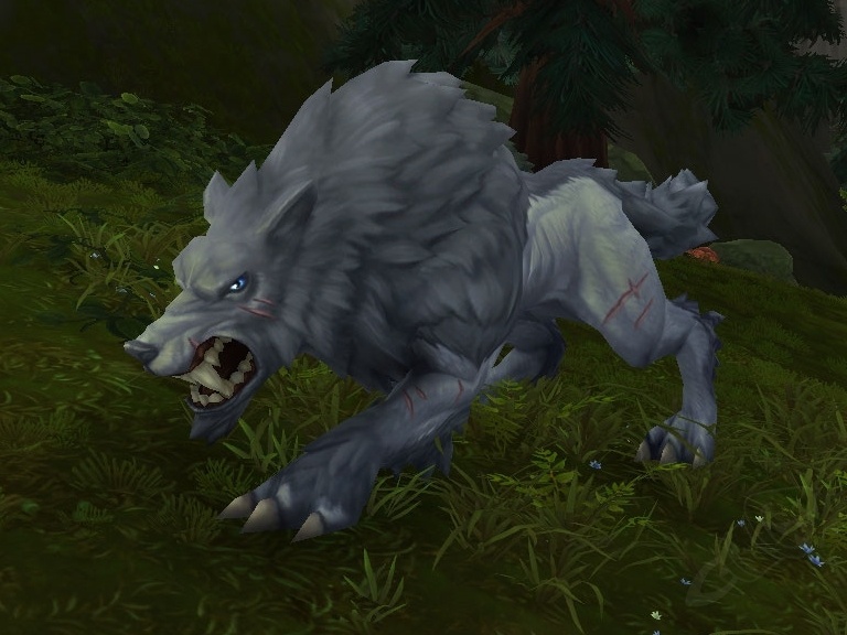 What's up with wolves? : r/warcraftlore