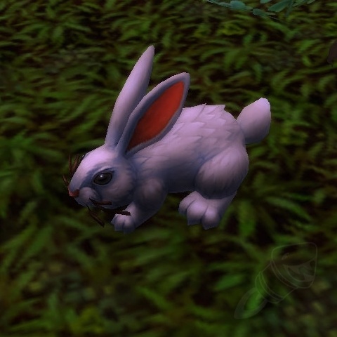 Elfin Rabbit - NPC - World of Warcraft