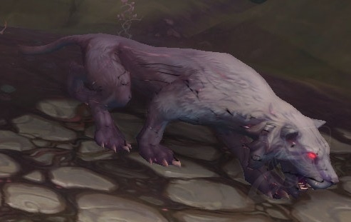 Frenzied Nightclaw - NPC - World of Warcraft