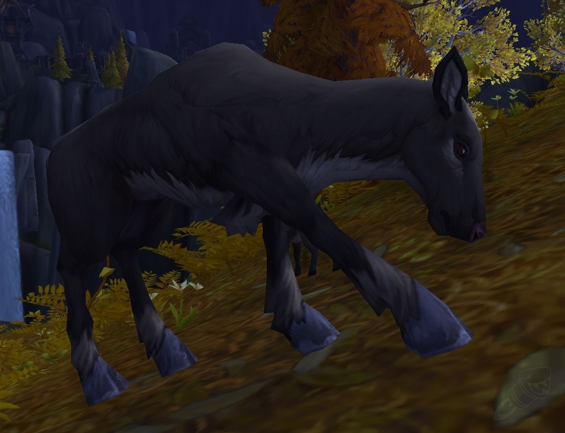 Amberfall Doe - NPC - World of Warcraft