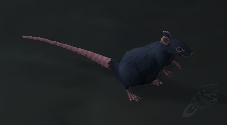 Cairn Rat - NPC - World of Warcraft