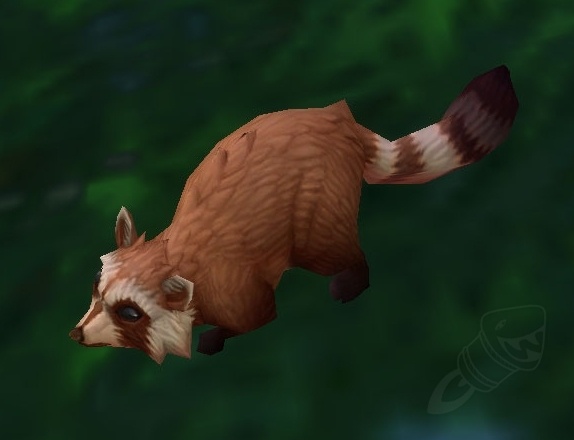 Auburn Ringtail - NPC - World of Warcraft