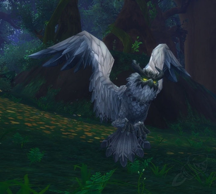 Zwergeule - Gegenstand - World of Warcraft