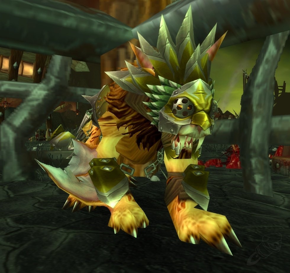 Swift Yellow Windrider - NPC - TBC Classic