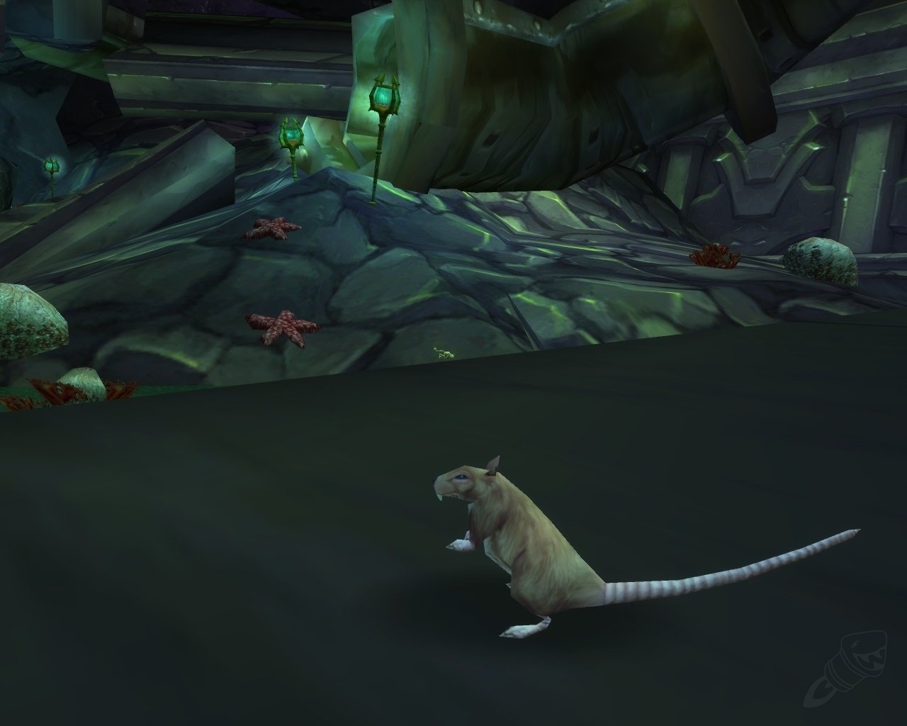 Ratto delle Fogne - PNG - World of Warcraft
