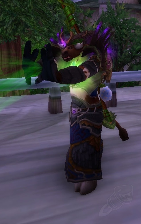 Nordrassil Druid - NPC - World of Warcraft