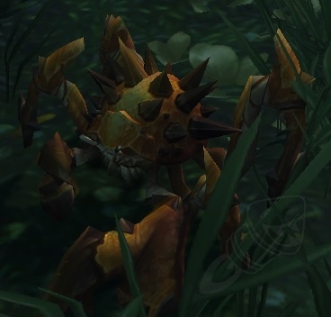 Coralback Scuttler - NPC - World of Warcraft