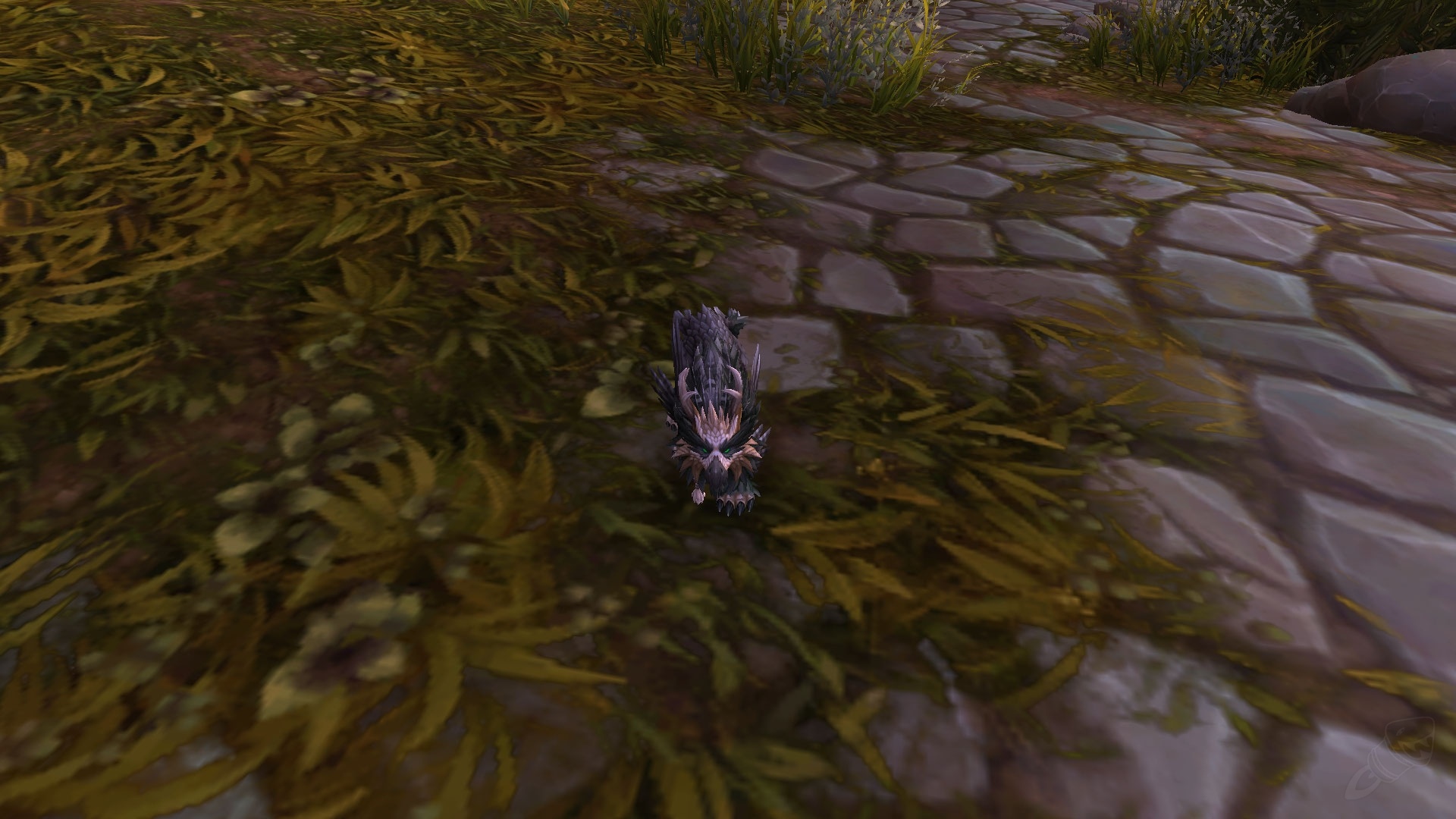 Chaton-huant en maraude - Sort - World of Warcraft