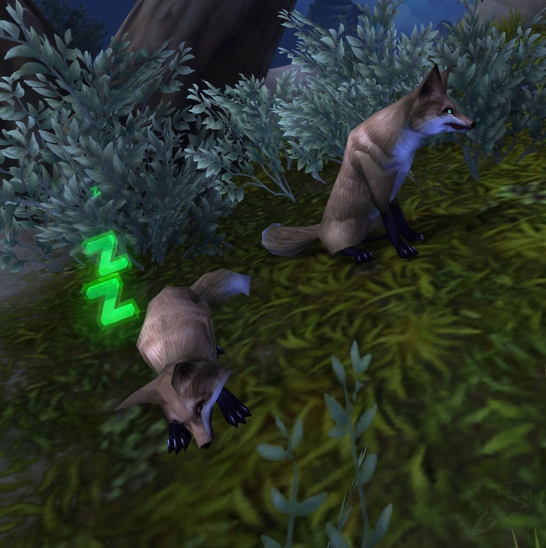 Zorro de Azsuna - PNJ - World of Warcraft