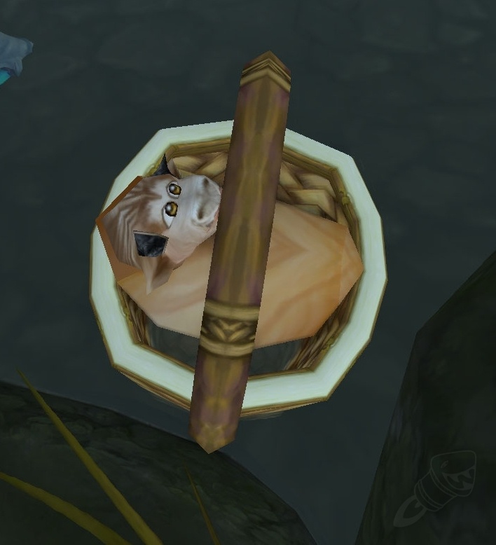 Babies of Azeroth! part 3 : r/wow