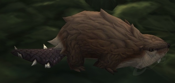 Spiketail Beaver - NPC - World of Warcraft