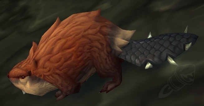 Spiketail Beaver - NPC - World of Warcraft