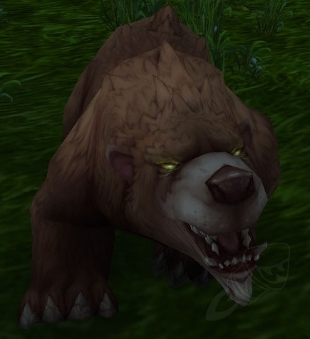 Young Forest Bear - NPC - World of Warcraft