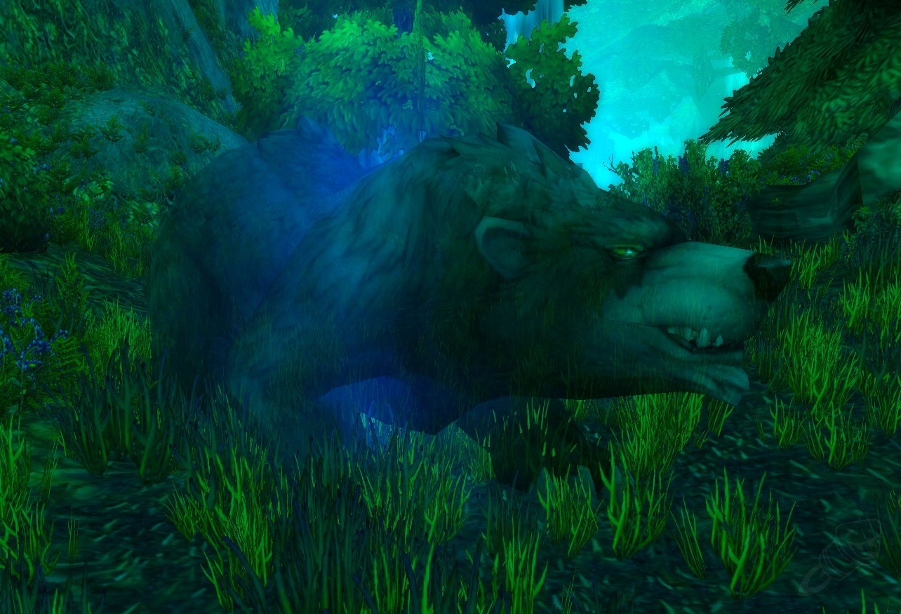 Esprit du Grand ours - PNJ - World of Warcraft