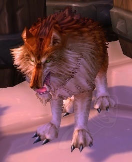 Winnie - NPC - World of Warcraft