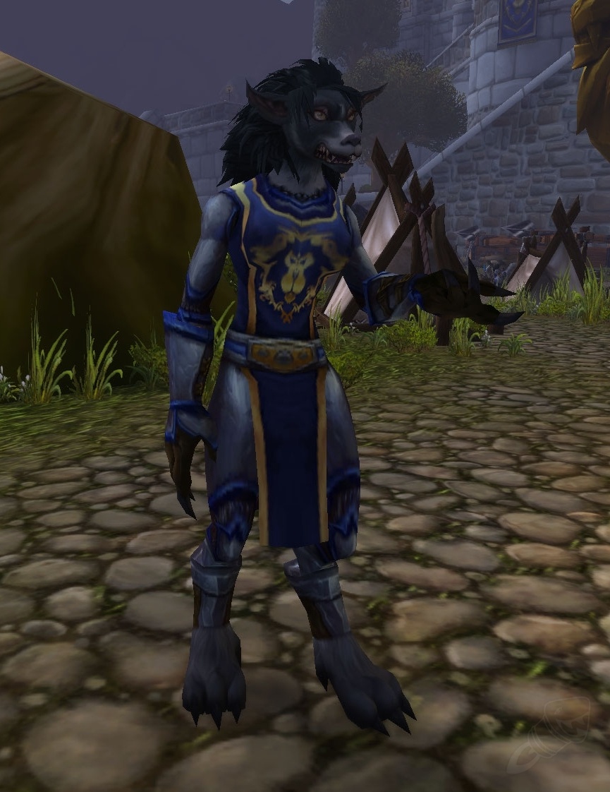Alliance Recruit - NPC - World of Warcraft