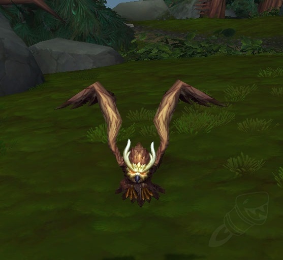 Lechuza orejuda - PNJ - World of Warcraft