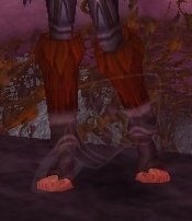 Veteran's Wyrmhide Boots - Item - World of Warcraft