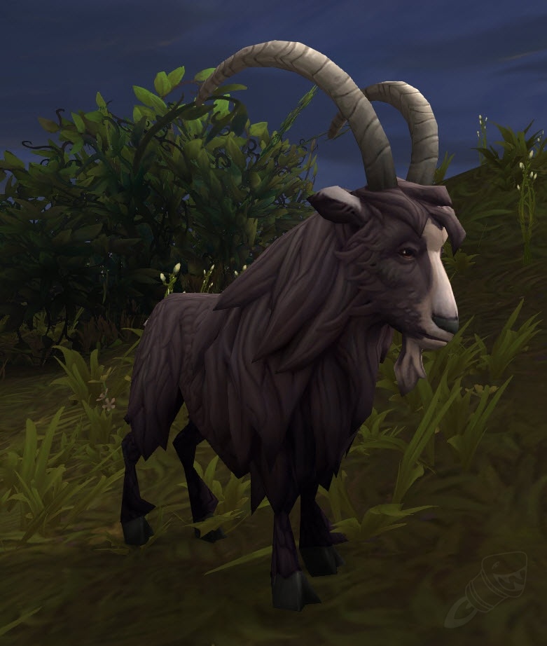 Greyhorn Goat - NPC - World of Warcraft