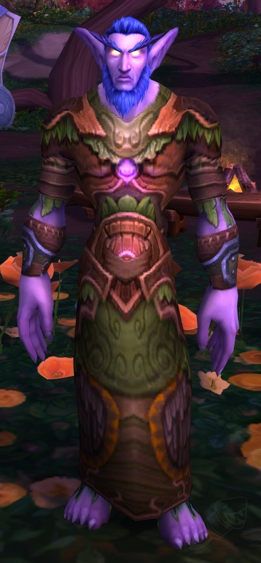 Val'sharah Refugee - NPC - World of Warcraft