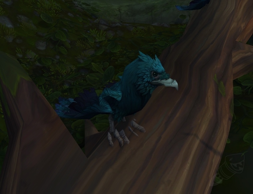 Cove Raven - NPC - World of Warcraft