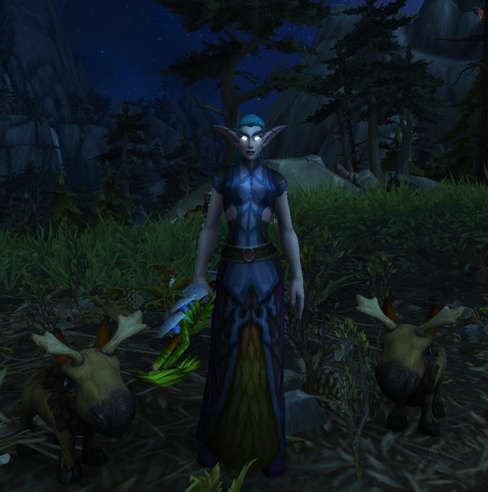 Enforcer Narissa - NPC - World of Warcraft