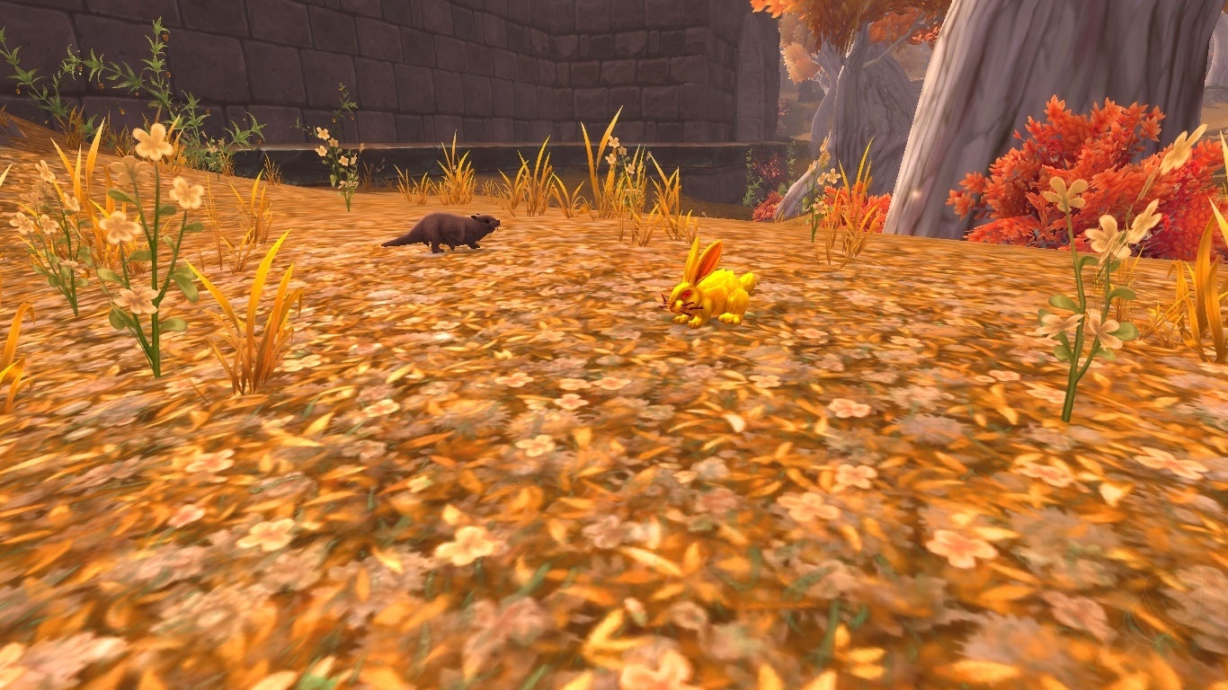 Goldener Hase - NPC - World of Warcraft