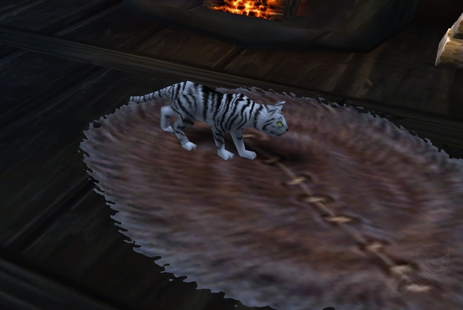 Gato - PNJ - World of Warcraft