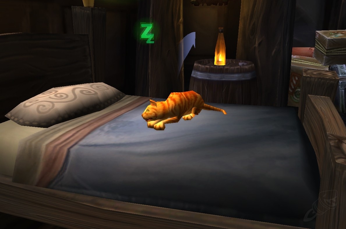 Cat - NPC - World of Warcraft