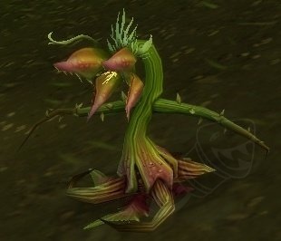 Bloodpetal Pest - NPC - Classic World of Warcraft