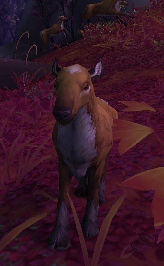 Heartwood Doe - NPC - World of Warcraft