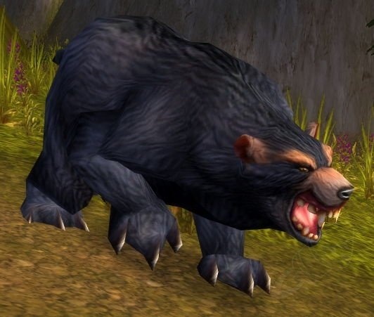 Oso negro grisáceo - PNJ - [Mists of Pandaria Classic]