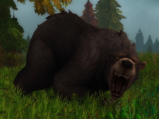 Vicious Black Bear - NPC - World of Warcraft
