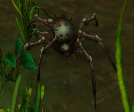 Nursery Spider - NPC - World of Warcraft