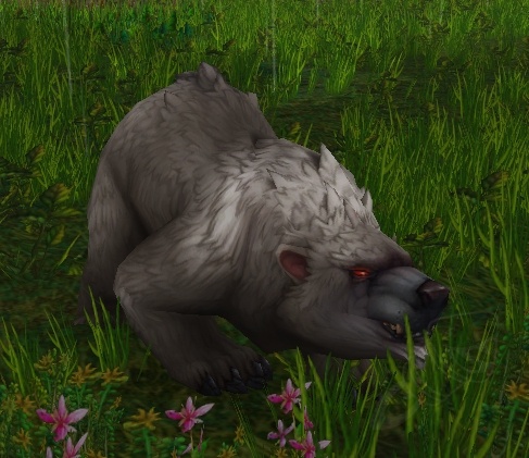 Elder Gray Bear - NPC - World of Warcraft