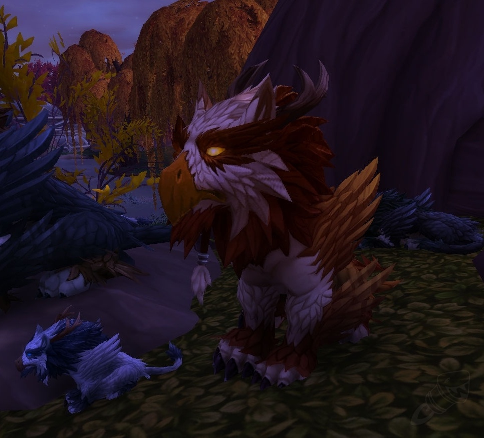 Slyon - NPC - World of Warcraft