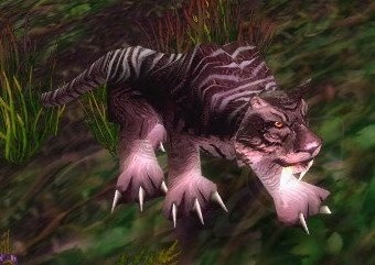 Feral Nightsaber - NPC - Classic World of Warcraft
