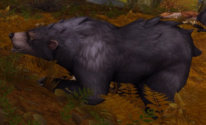 Voracious Bear - NPC - World of Warcraft