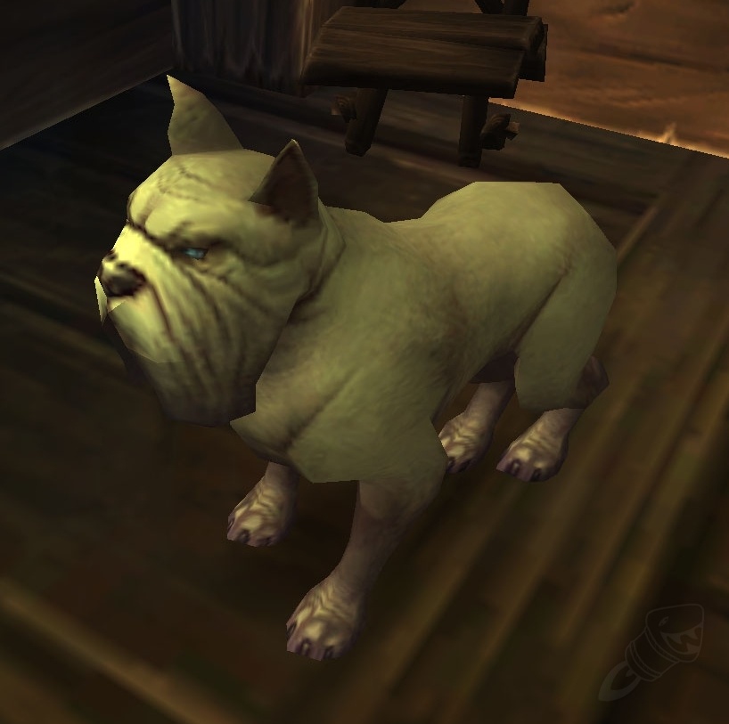Ronchon - PNJ - World of Warcraft